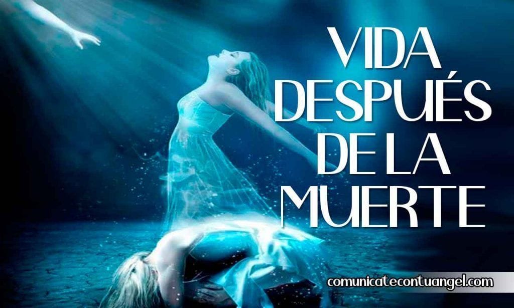 Pactos y señales - Vida después de la muerte - Comunicate con tu Angel
